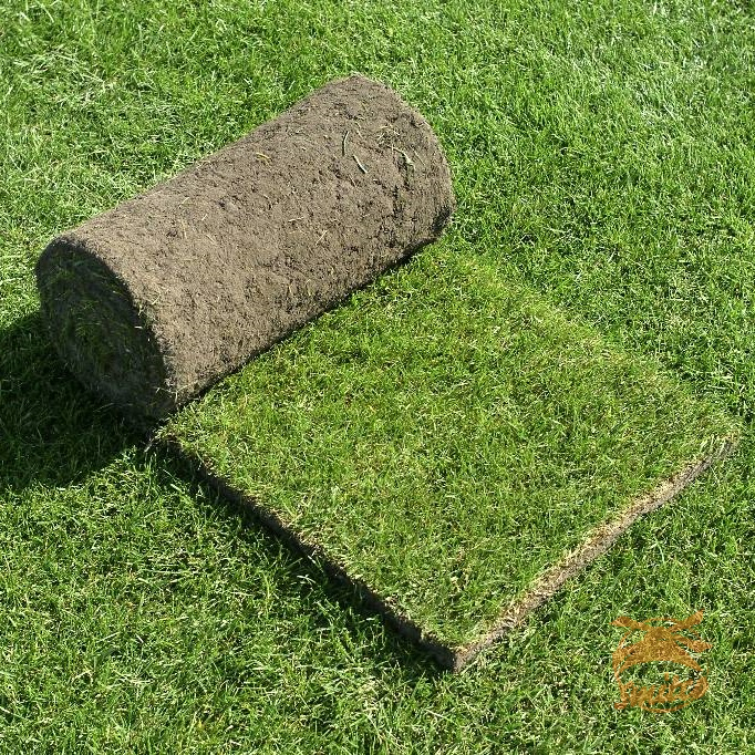 1 Volle Pallet Queens Grass Graszode 60 m2. | Smitco Tuinhout en ...